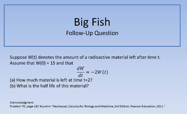 Big Fish | Microtutorials in Mathematics